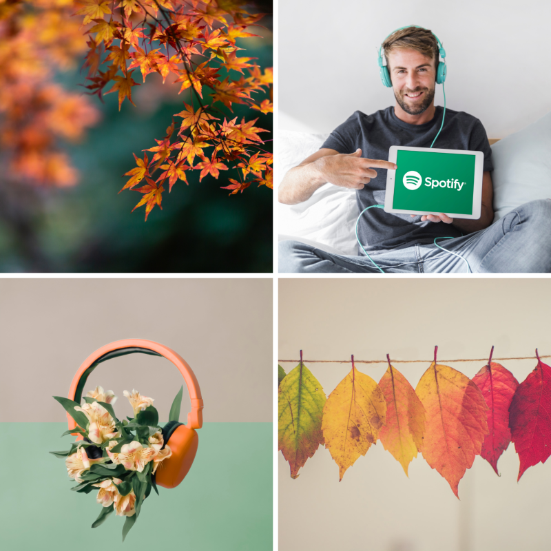 Spotify Playlist #1 | Autumn - Can:Do Hearing